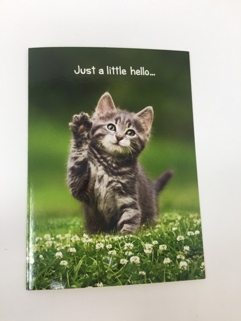 GREETING CARDS-KITTEN HELLO